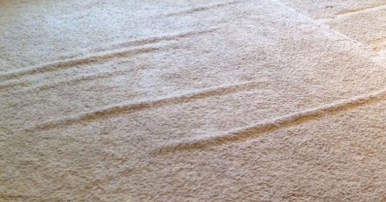 Buckled and Wrinkled Carpets: What Causes Them? | Steve's Carpet Care ...