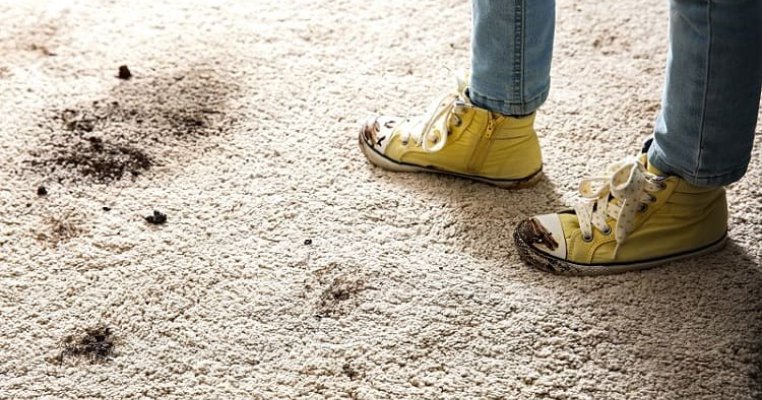 Carpet Lifespan: How to Extend It | Steve's Carpet Care & Restoration
